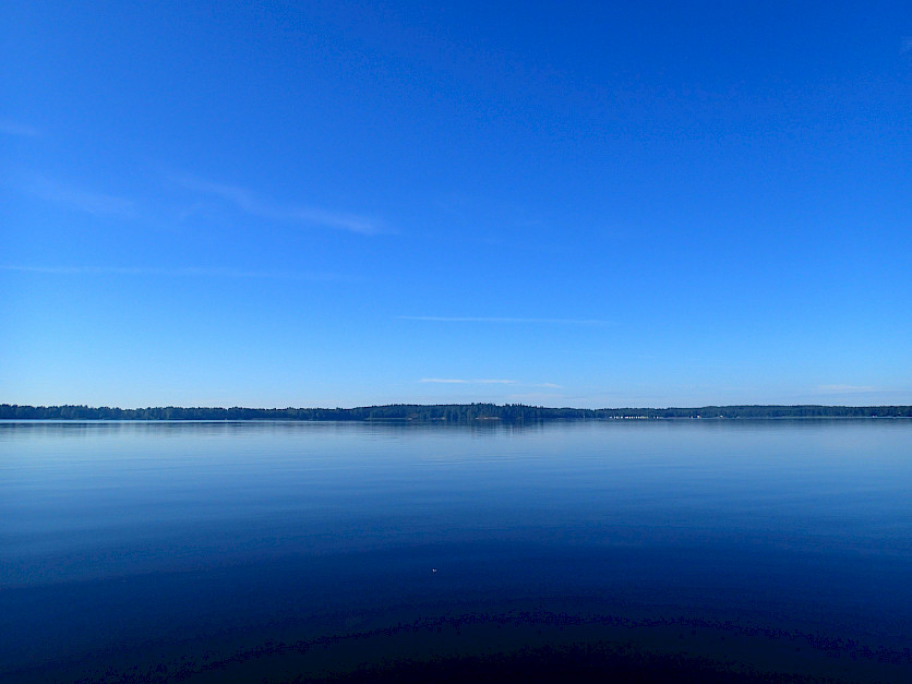 Järvisyyhy - kiusallinen, mutta vaaraton - Pyhäjärven suojelu